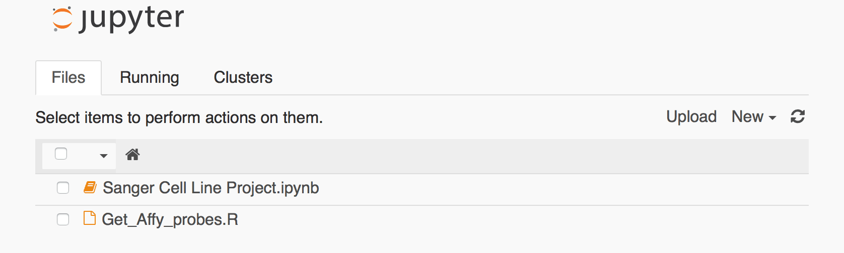 Jupyter Notebook Theme